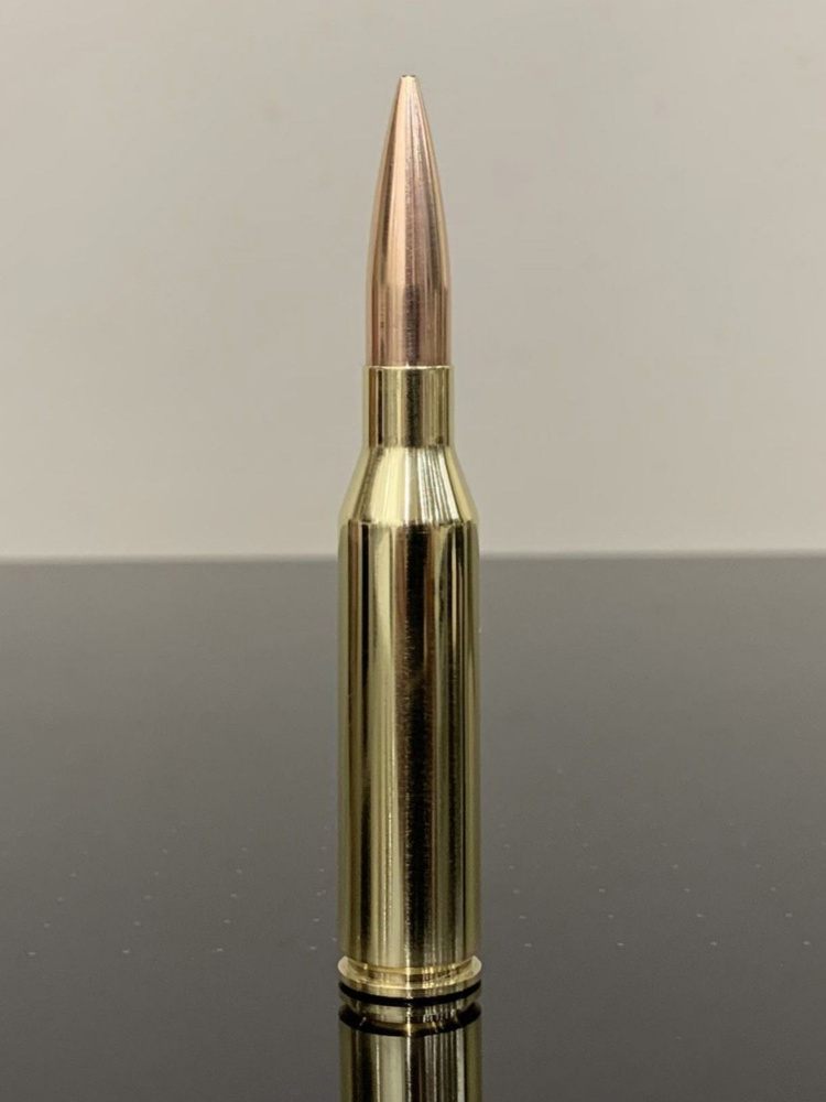 Макет патрона .338 Norma Magnum, OTM Tactical 300gn (19.4г), латунь ...