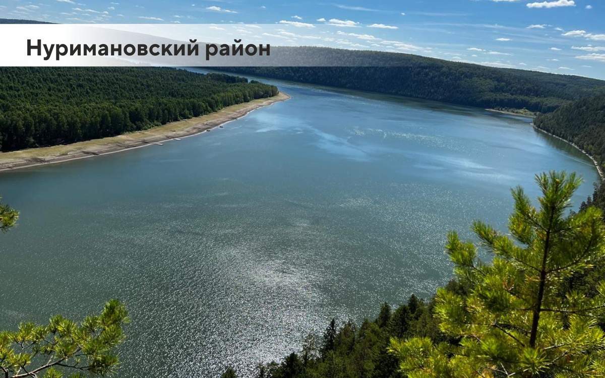 Мед ГРЕЧИШНЫЙ башкирский, 1 кг, сбор 2024 г - купить с доставкой по ...