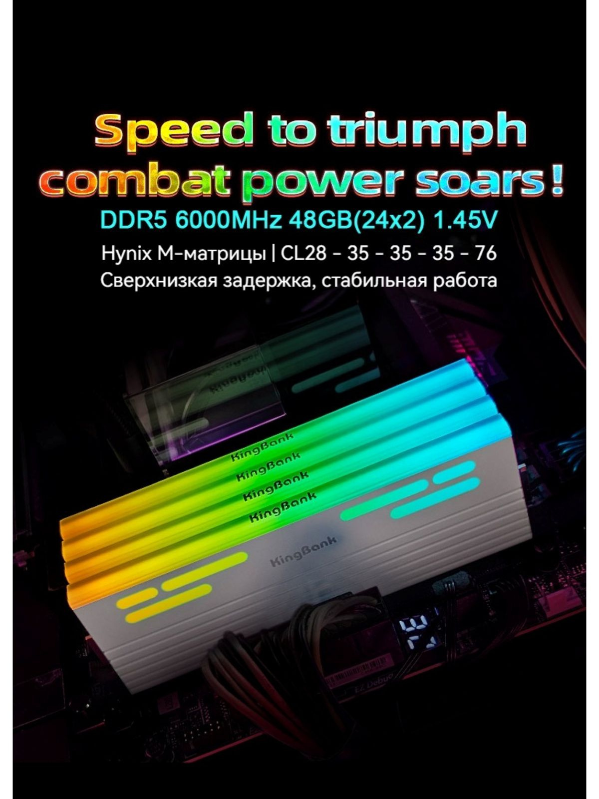 Модуль оперативной памяти KingBank 16 ГБ DDR5 PC48000 6000 MHz CL 28 (K5.01.FLM5EM9501) купить c ...