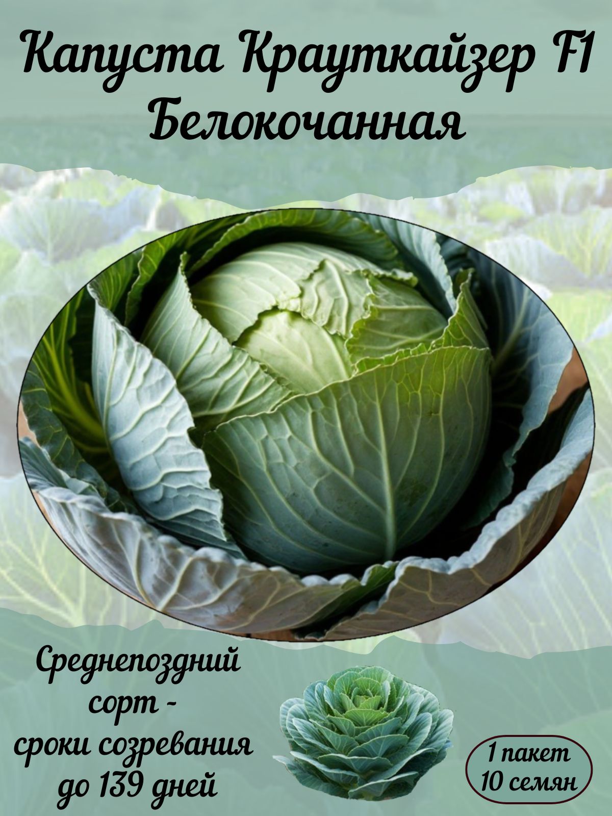 Капуста капуста, 15 г - купить с бесплатной доставкой в OZON (3160614030)