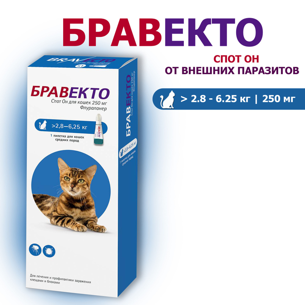 Бравекто Спот Он капли для кошек 2,8 - 6,25 кг, от внешних паразитов ...