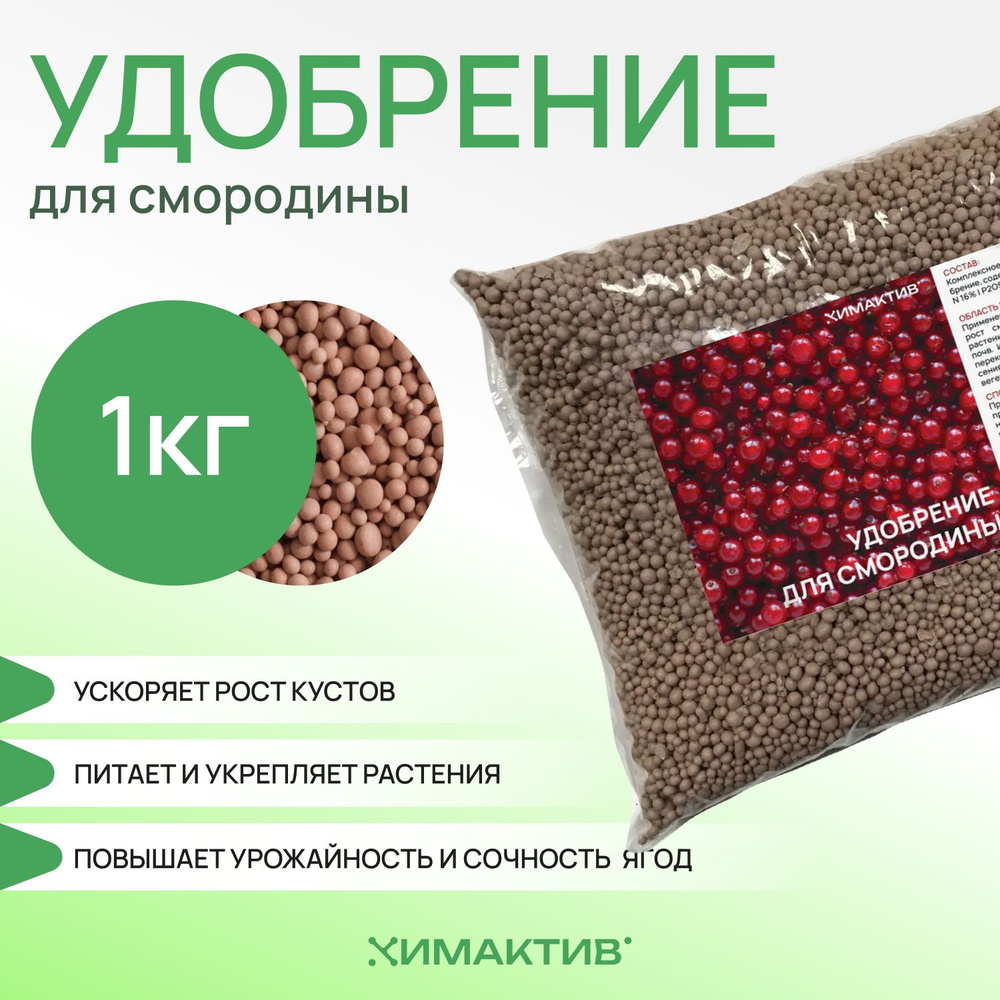 Удобрение для смородины 1кг Химактив А - купить с доставкой по выгодным ...