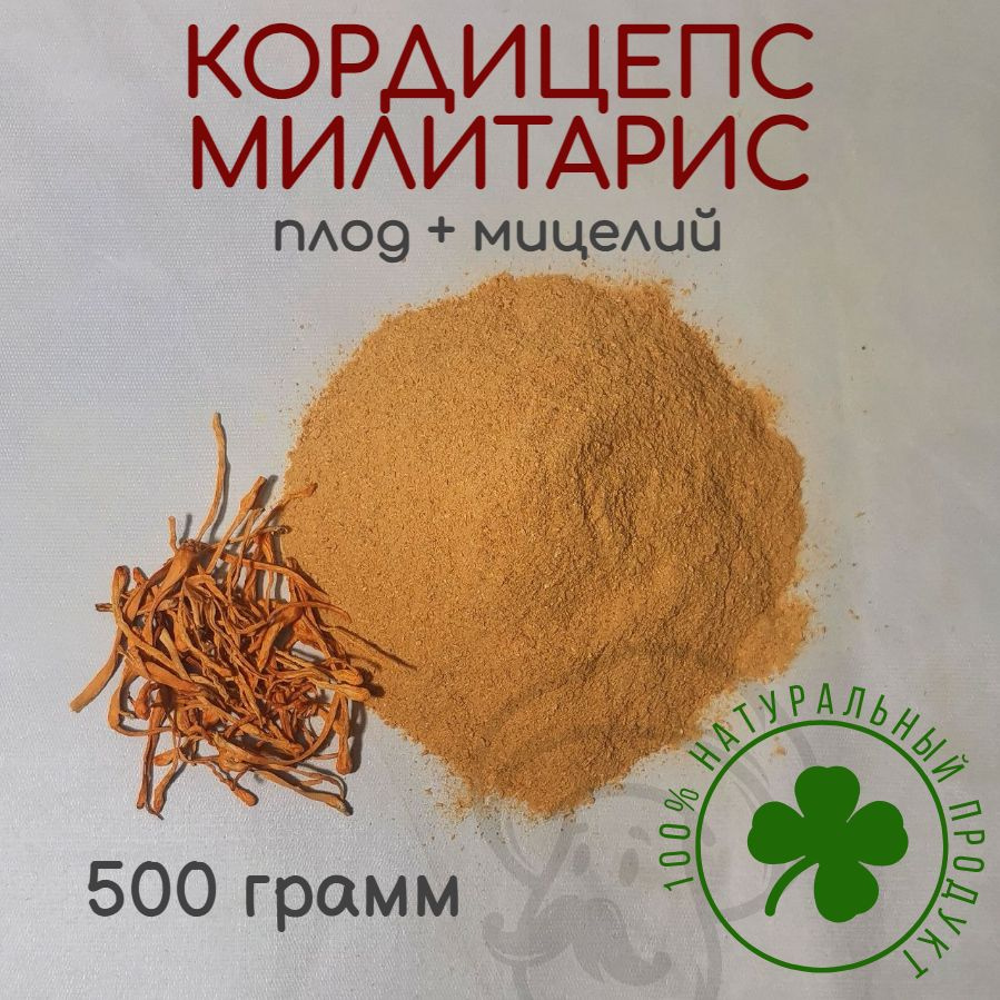Кордицепс милитарис (Cordyceps militaris) плодовое тело и мицелий 500г ...