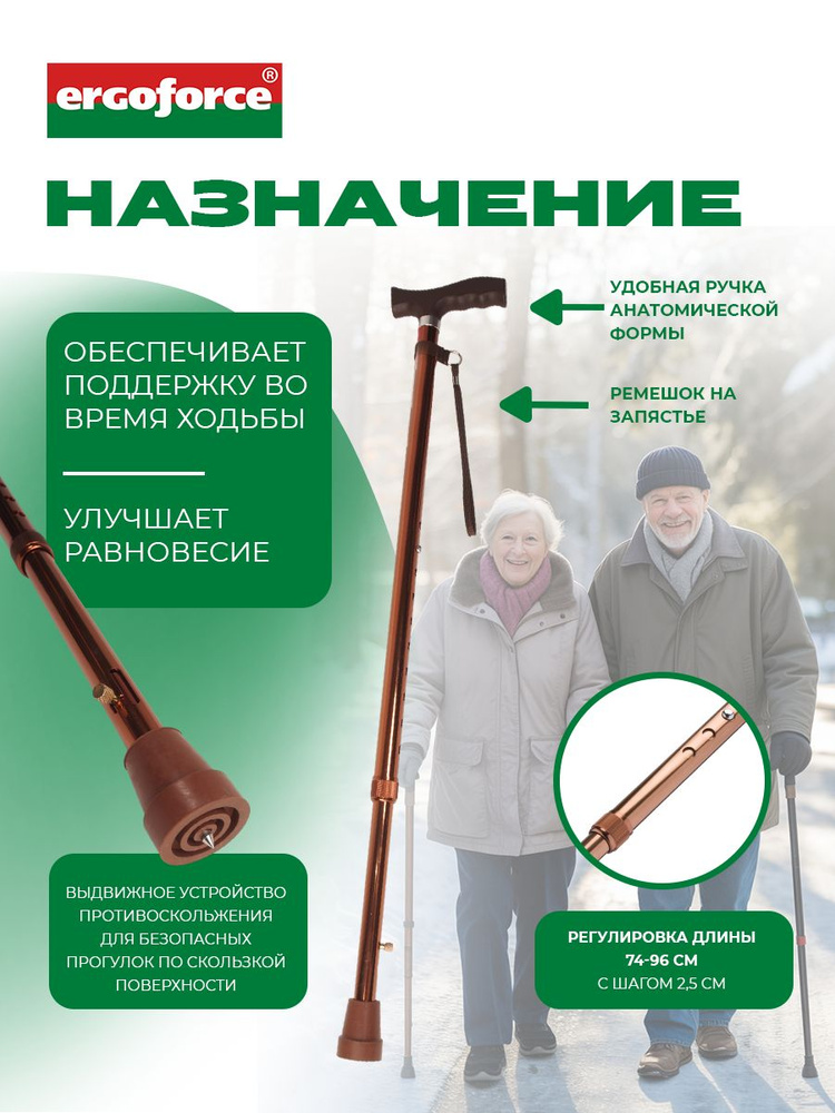 Трость купить на OZON по низкой цене (3371336617)