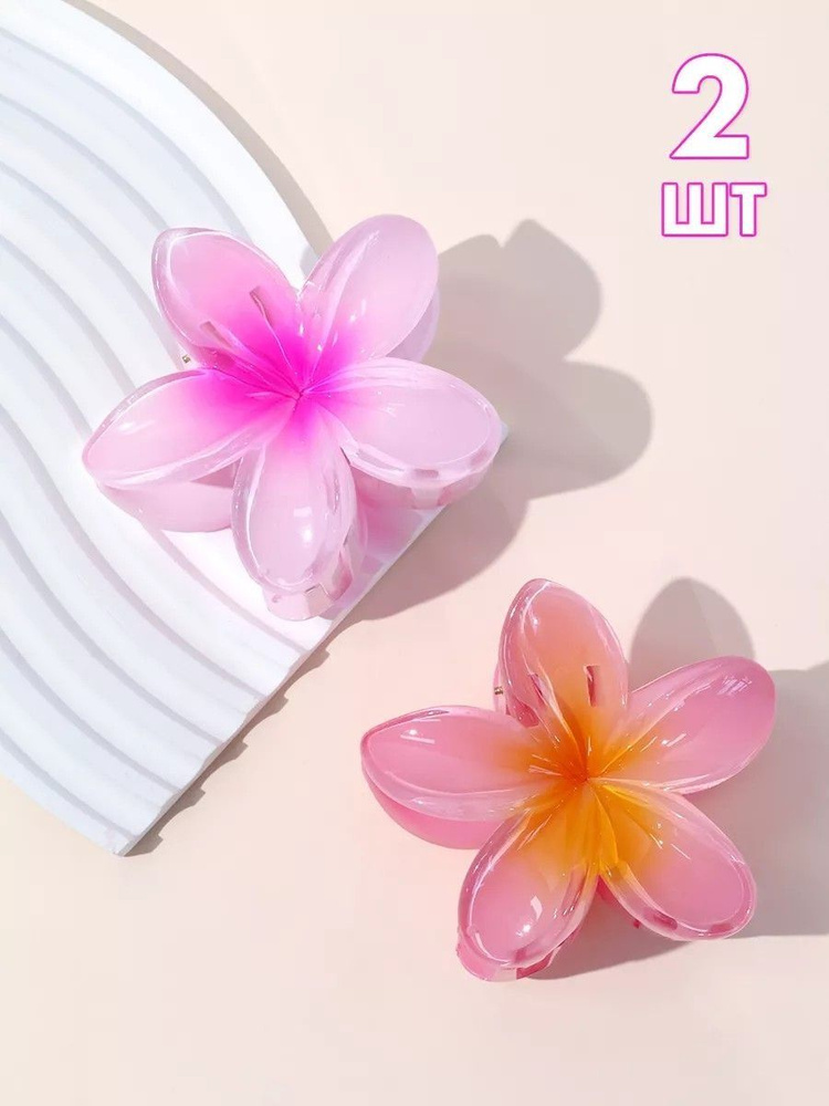 Заколка для волос 2 шт. купить на OZON по низкой цене (2254216670)