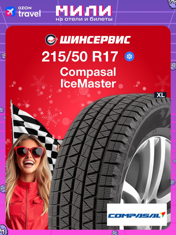 Compasal IceMaster Шины зимние 215/50 R17 95S Нешипованные 2CL2257H1 (1680938887)