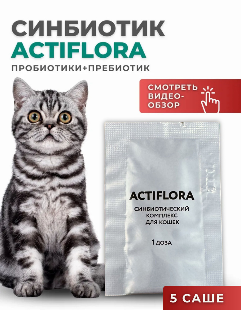Пробиотики и пребиотик для кошек, синбиотический комплекс ACTIFLORA ...