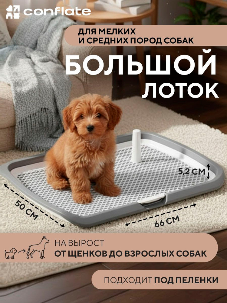 Conflate Туалет лоток для собак мелких пород и средних под пеленку с ...