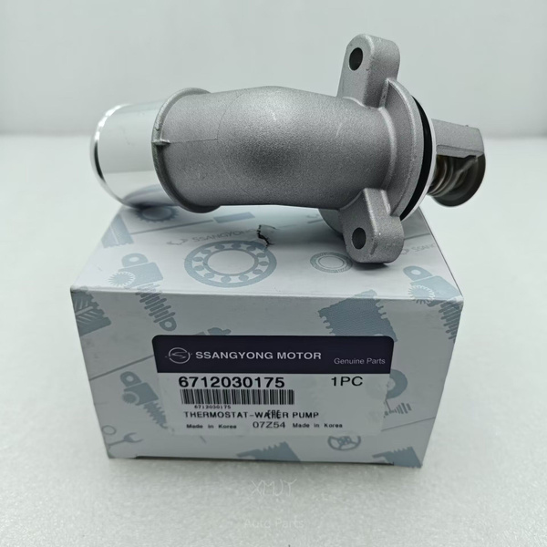 SsangYong Термостат автомобильный, арт. S100332, 1 шт. купить на OZON ...