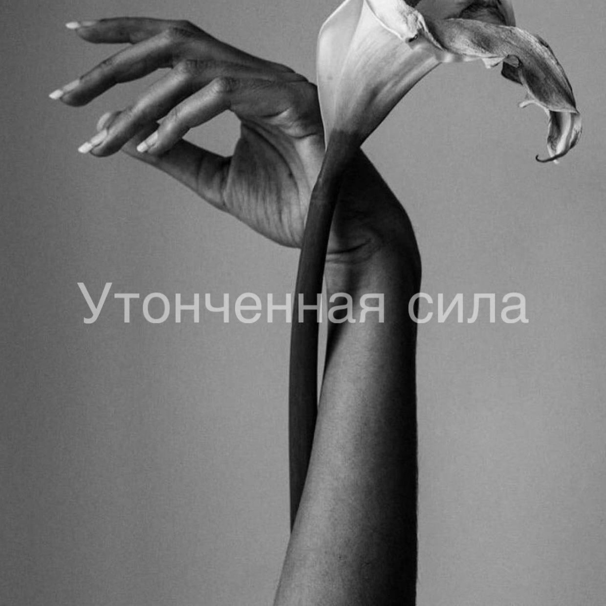 Гамак для йоги (аэройоги) 5 м, 100% нейлон, с карабинами, потолочными ...