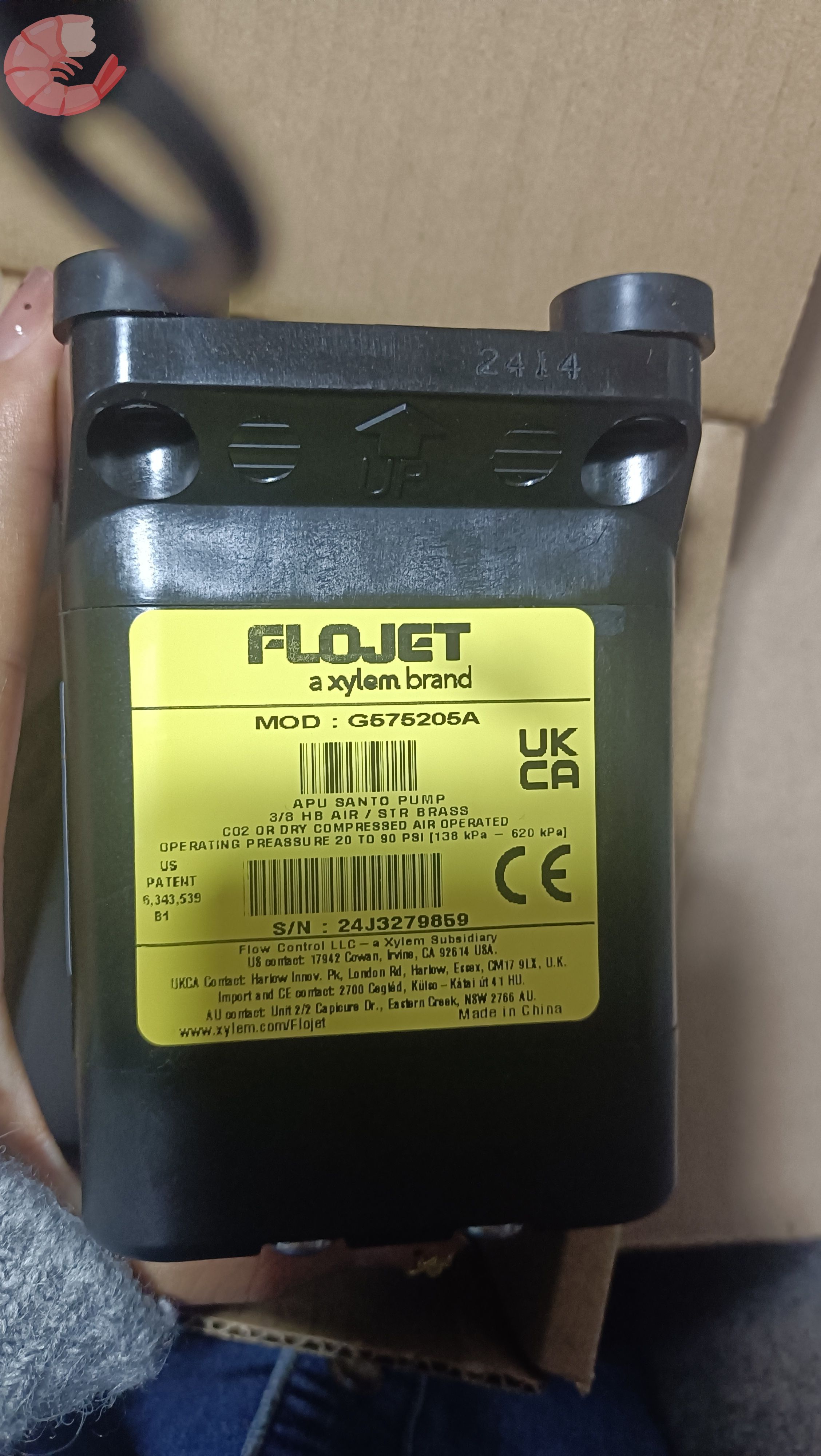 FLOJET Мембранный насос G575205A купить на OZON по низкой цене (3671496742)