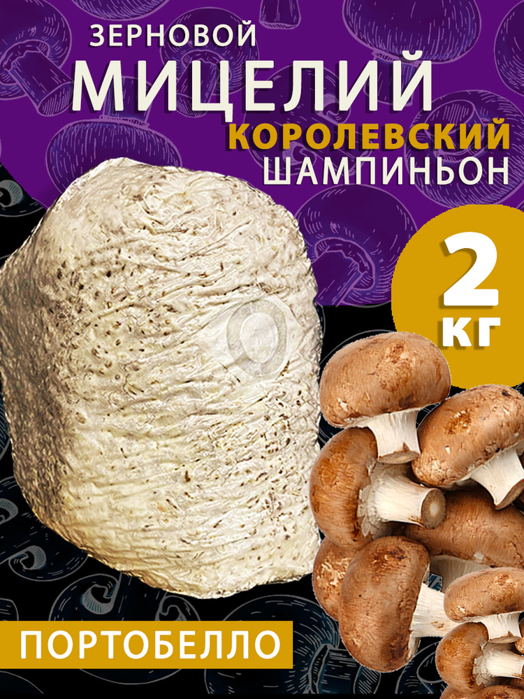 Мицелий шампиньонов королевских зерновой (штамм Портобелло / АР ...