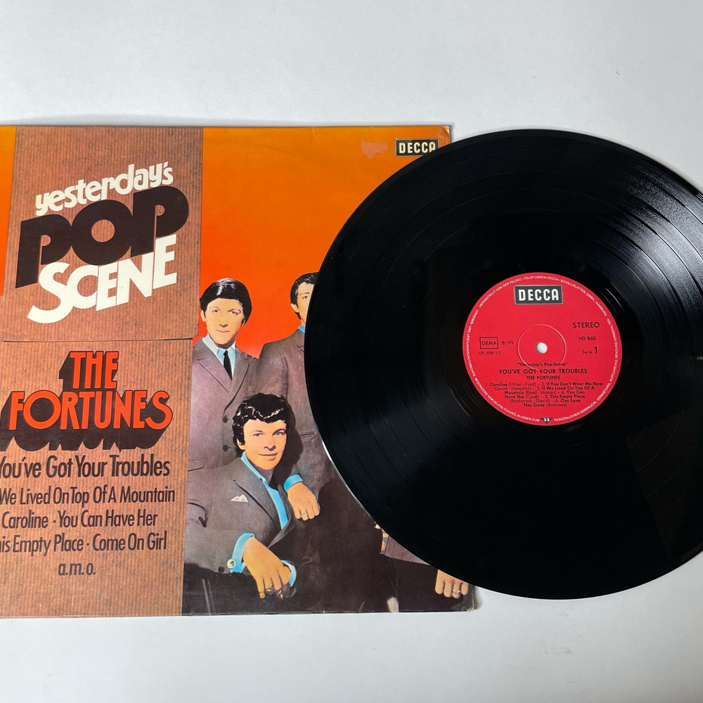 Винтажная виниловая пластинка LP The Fortunes You've Got Your Troubles (Germany 1974) купить на ...