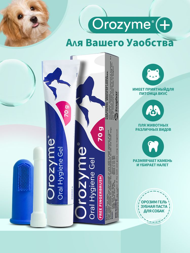 Goods Store – официальный интернет-магазин на OZON, каталог товаров ...