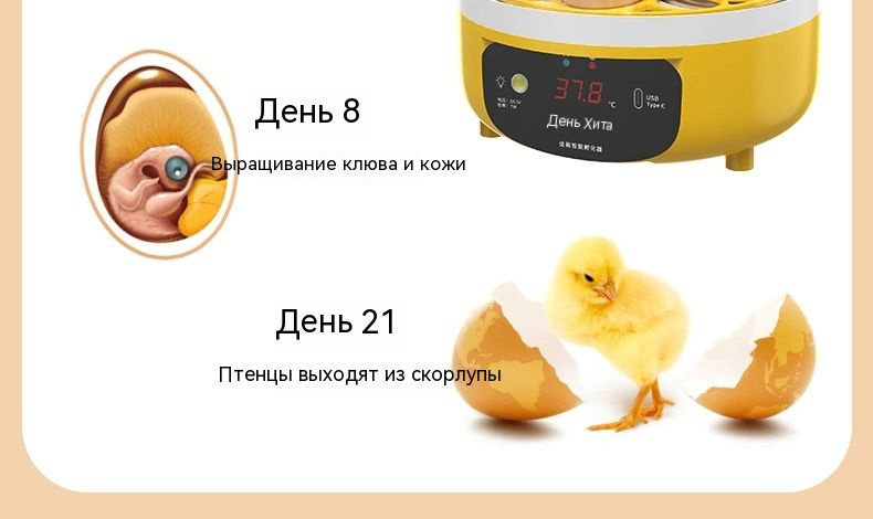 Инкубатор для цыплят, полностью автоматический инкубатор, небольшой ...