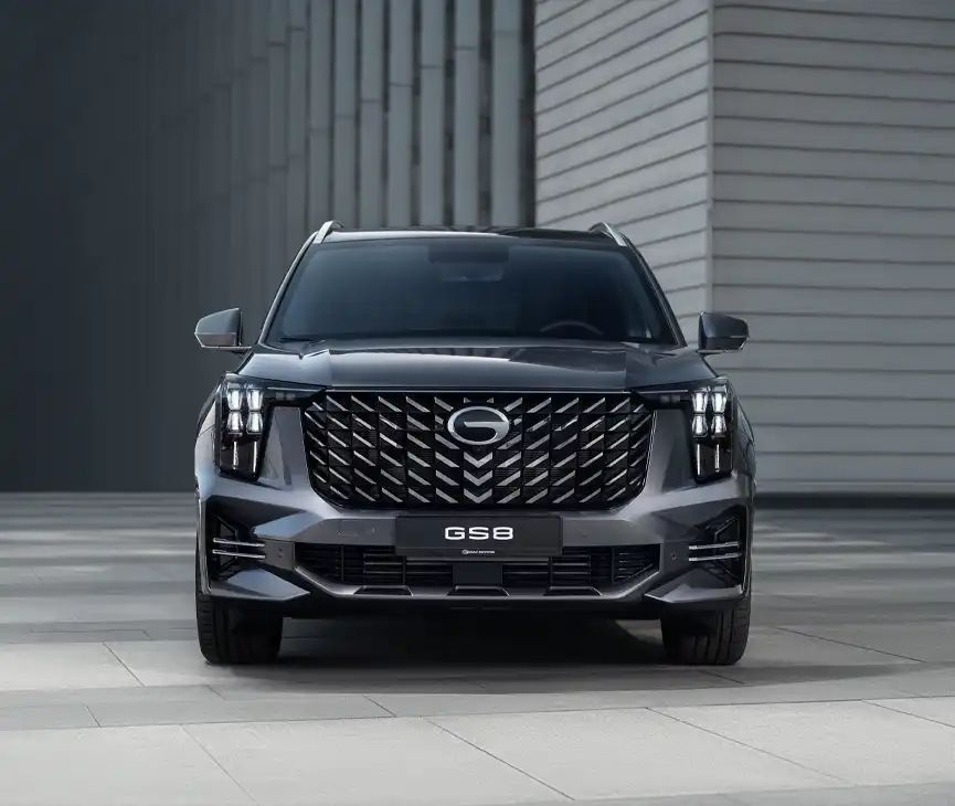Купить новый Автомобиль GAC GS8 черный, белый Внедорожник 5 дв. – онлайн с доставкой на OZON ...