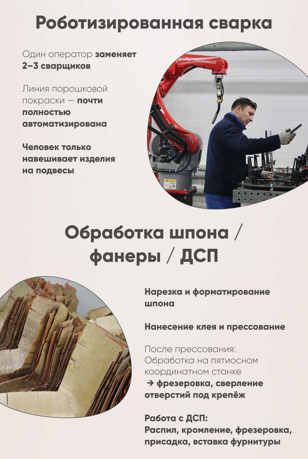 Stool Group Стул, 1 шт. купить на OZON по низкой цене (3461543230)