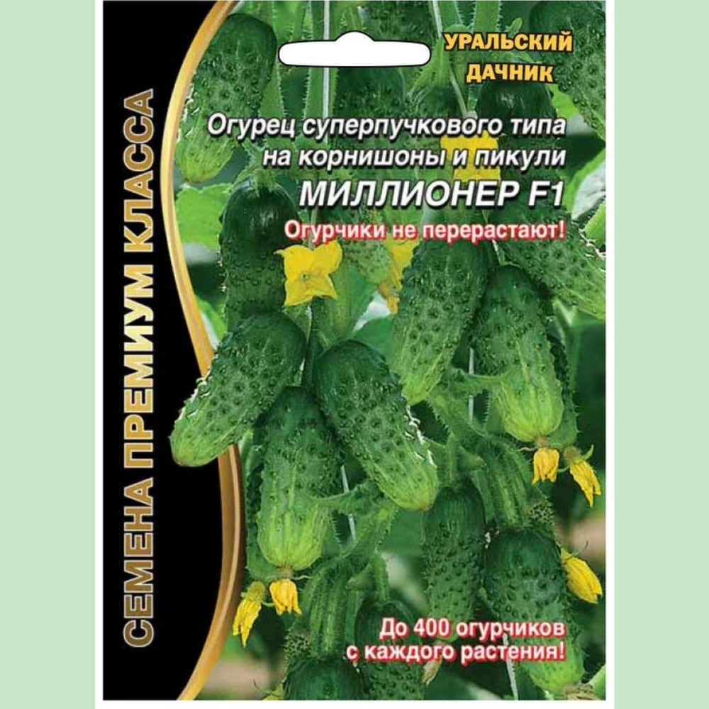 Огурцы Уральский дачник Огурец суперпучкового типа на корнишоны и ...