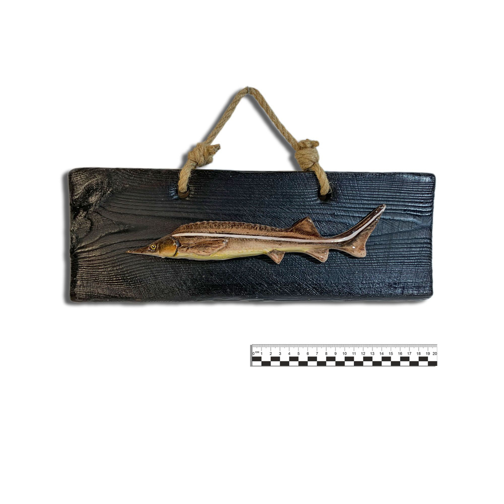 Украшение подвесное интерьерное Настенная статуэтка осетра исп 8 купить по доступным ценам в