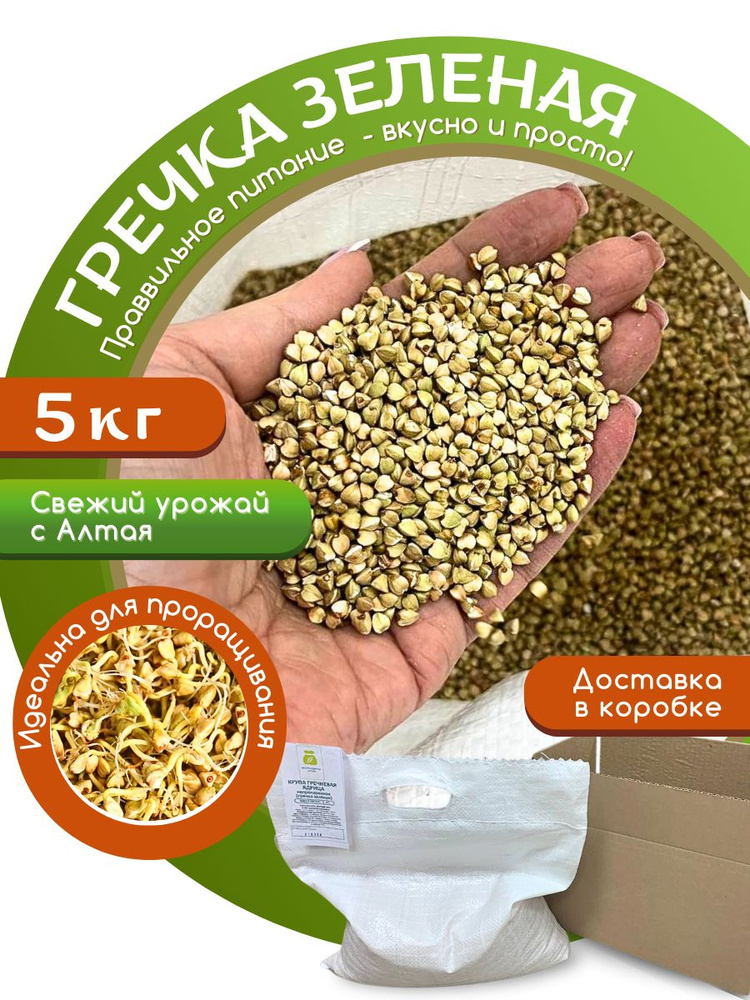 Зеленая гречка 5 кг, непропаренная греча для проращивания и каш ...