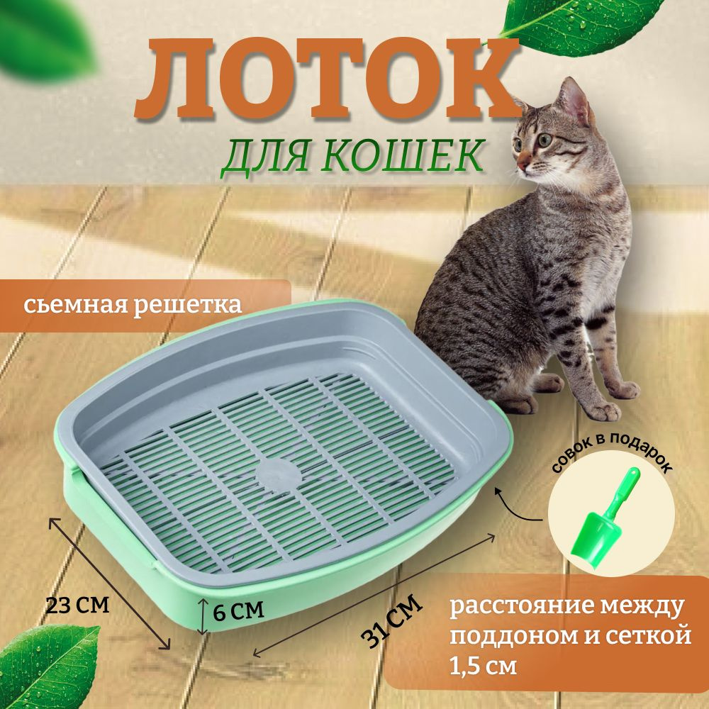 Туалет лоток с сеткой и совком для маленьких кошек (салатовый) - купить ...