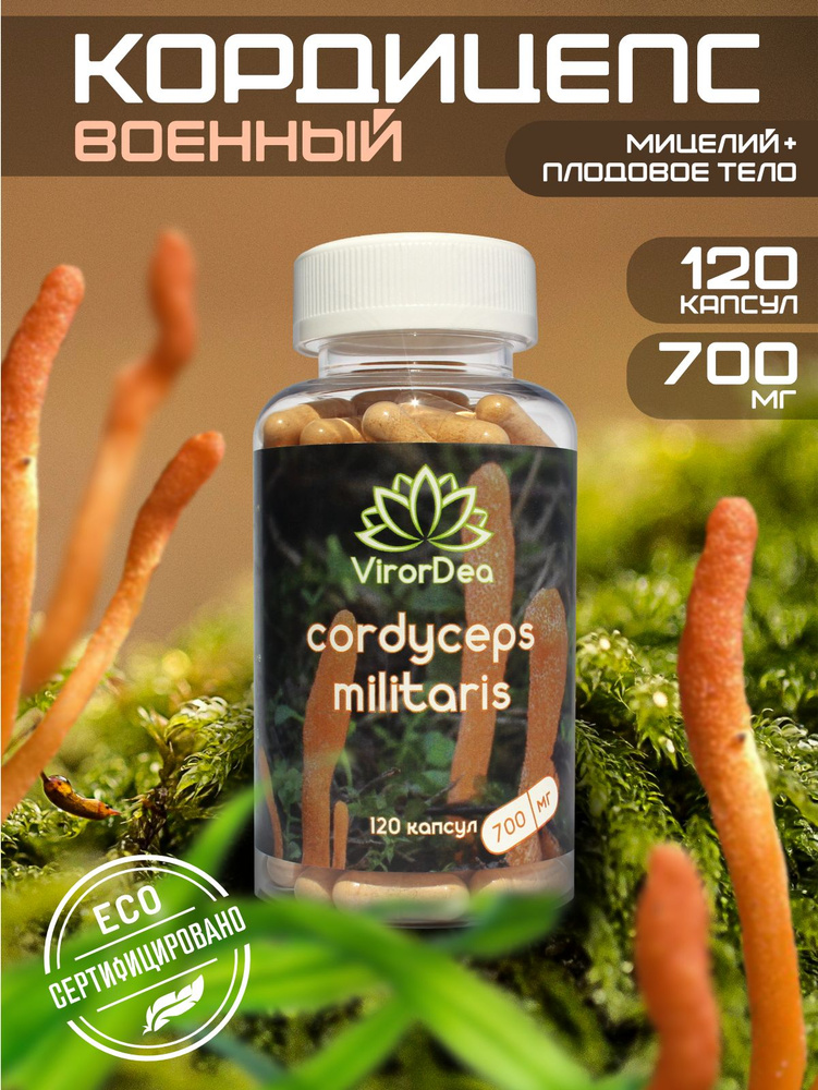 Кордицепс военный(Cordyceps militaris)Для иммуномодуляции, энергии ...