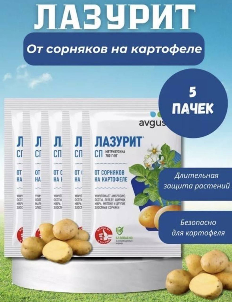 AVGUST Суккулент искусственный,5шт купить на OZON по низкой цене ...