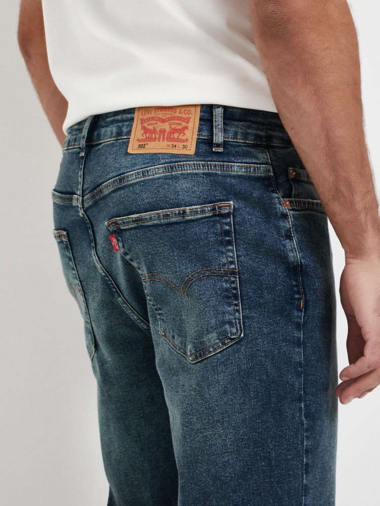 Джинсы Мужской Levi's зеленовато-синий Хлопок, Эластан, размер 46 Турция На любой сезон купить c ...