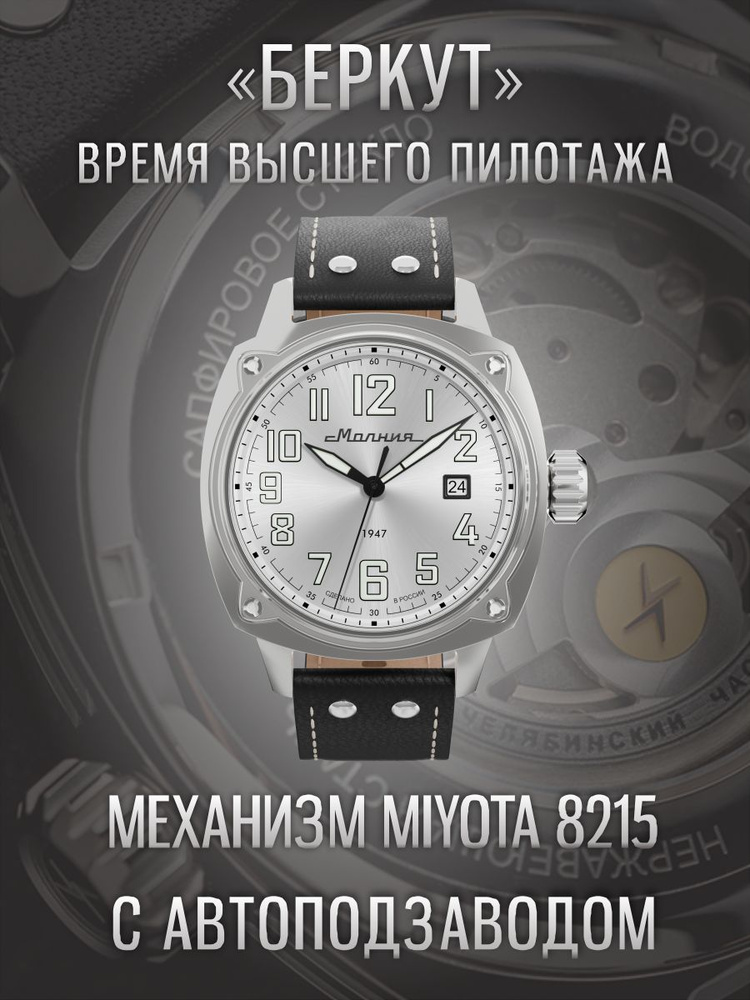 Часы Молния Беркут TCB 8215 купить на OZON по низкой цене (2098482781)