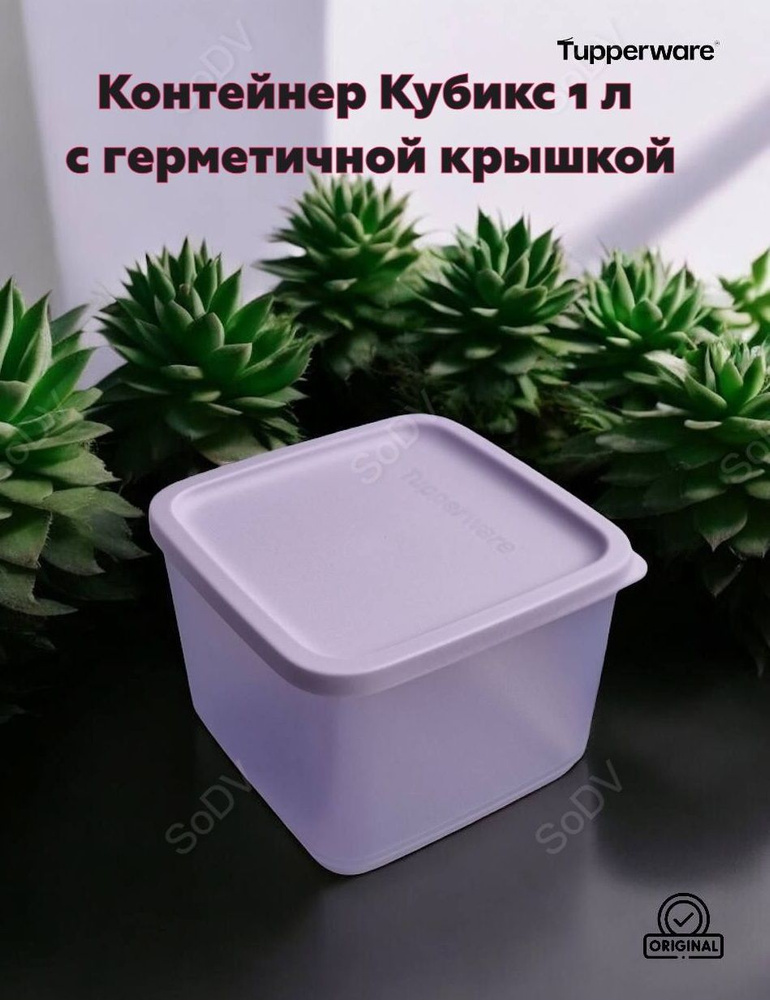 Tupperware Контейнер пищевой, 1000 мл, 1 шт купить на OZON по низкой цене (2273212367)