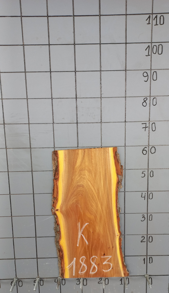 Слэб №1883 натурального дерева карагач 19*250*550 купить на OZON по низкой цене (3093551005)