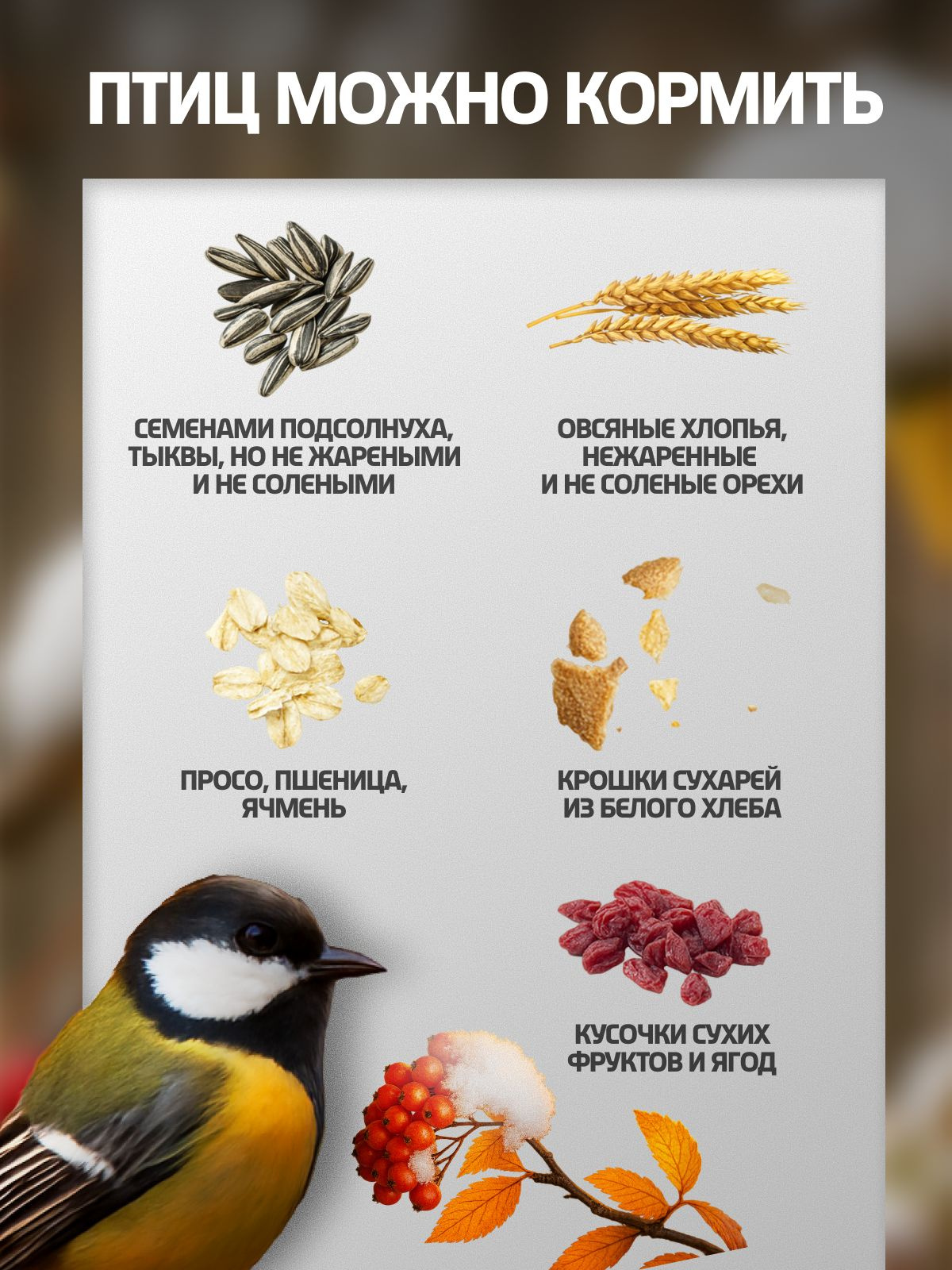 Conflate Кормушка,15.5х15.5х15см купить на OZON по низкой цене (3205540322)