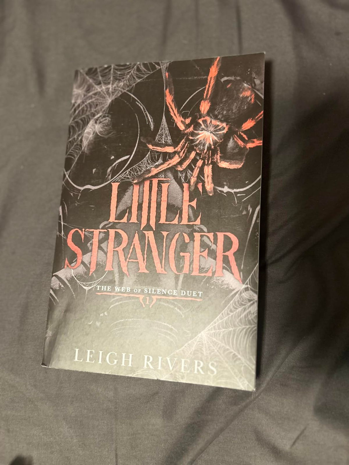 Little Stranger: A Dark Taboo Romance (The Web of Silence Duet) купить ...