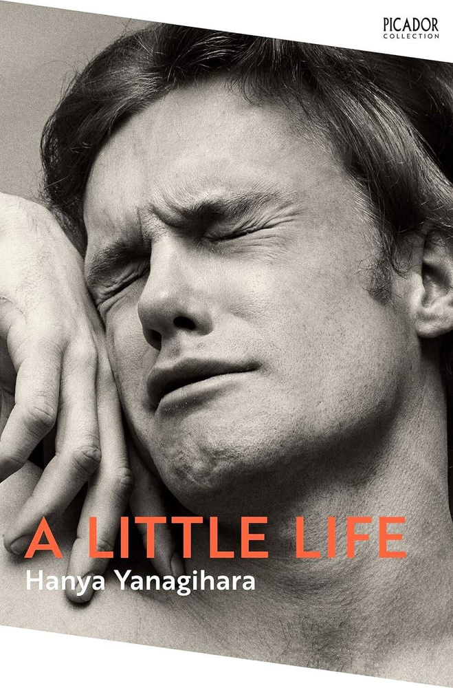 A Little Life (Hanya Yanagihara) Маленькая жизнь (Ханья Янагихара ...