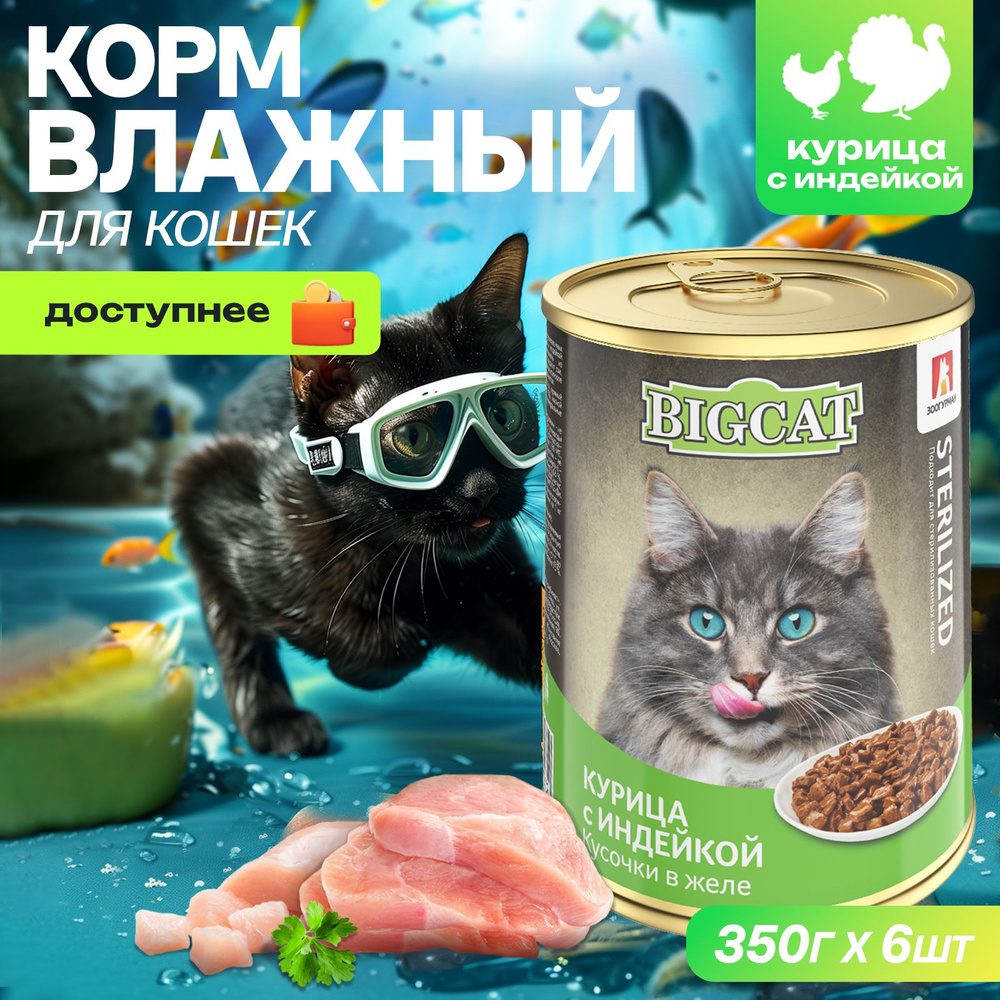 Влажный корм для кошек Зоогурман консервированный BIG CAT, с курицей и ...