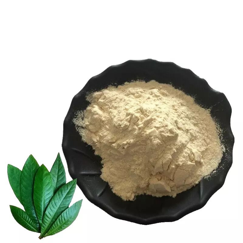 Экстракт листьев мушмулы / Loquat leaf extract 100g купить на OZON по ...