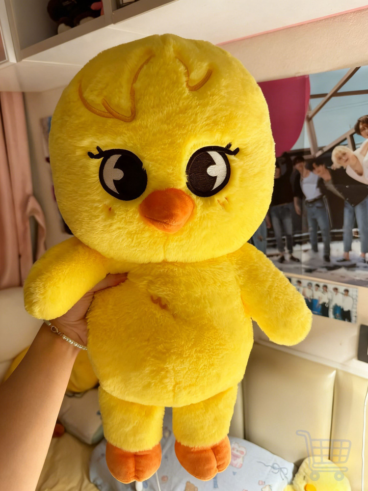 SKZOO 50cm Сидящая Кукла Straykids KARMA,Felix купить на OZON по низкой цене (3152383473)