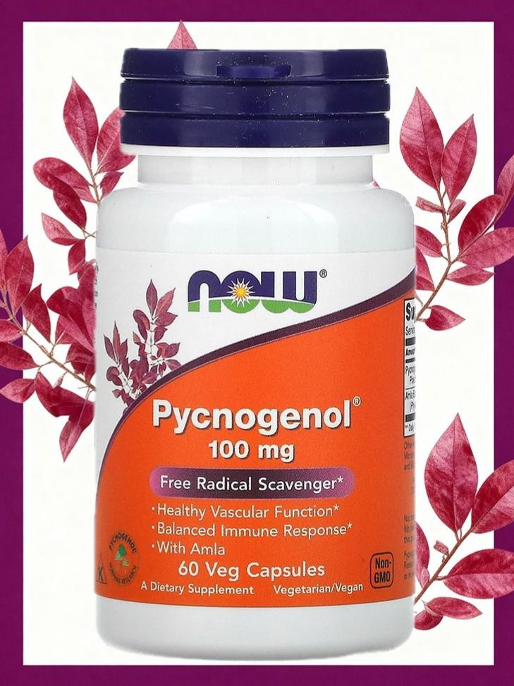 Pycnogenol 100 mg, Пикногенол, 60 капсул NOW Foods купить на OZON по ...