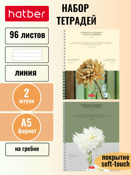 Тетрадь Hatber 2 штуки/2 дизайна 96 листов, формата А5, в линию на гребне, ламинация Soft-touch ...