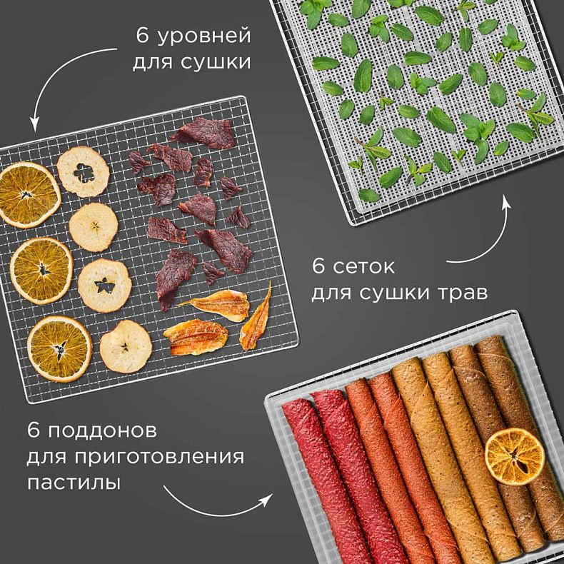 Дегидратор сушилка для овощей и фруктов REDMOND FD1105, 25 литров, 6 уровней купить на OZON по ...