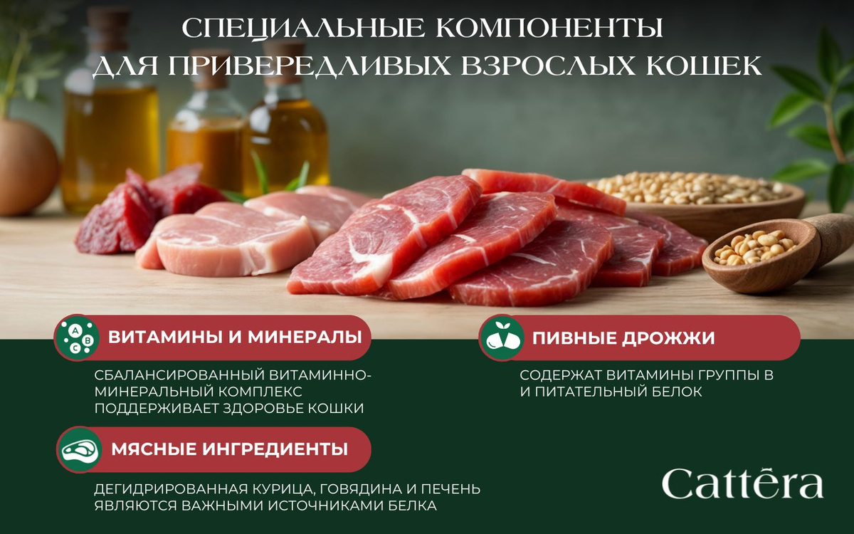Корм для кошек влажный Cattera полнорационный с говядиной в соусе для ...