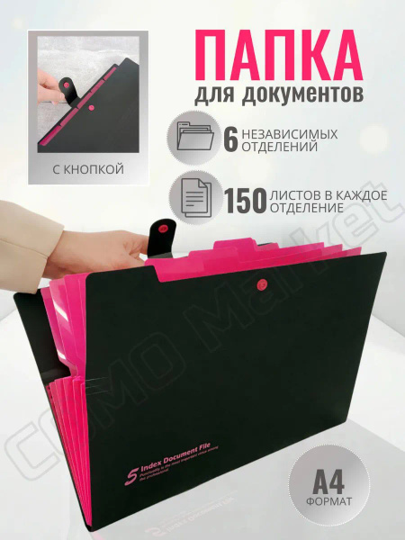 Папка-органайзер A4 (21 × 29.7 см), 1 шт. купить на OZON по низкой цене (2804733157)