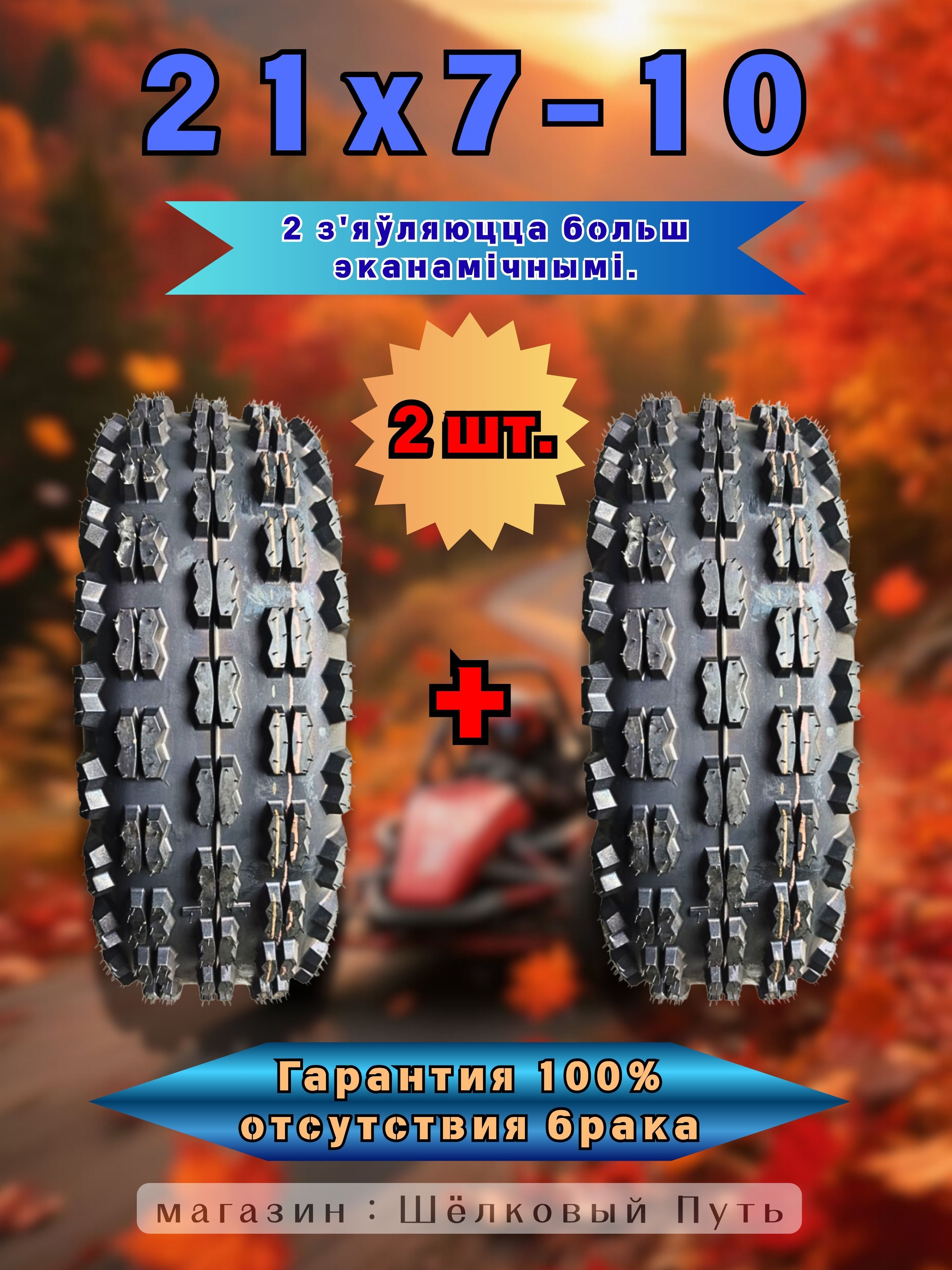 Шины для квадроциклов;21X7-10 Мотошины 170/80 R10 30 L купить c ...