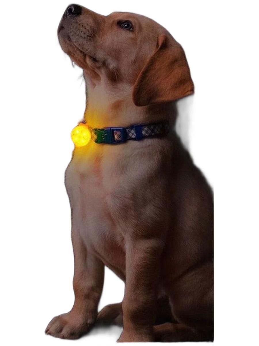 Светящийся брелок на ошейник для собак, светодиодный LED фонарик micro USB / Блинкер купить на ...