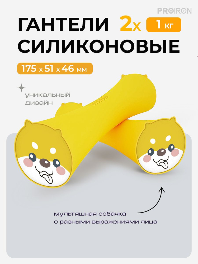 Гантели PROIRON Г20НЕО_зеленый, 2 шт. по 1 кг, оранжевый купить c доставкой на OZON по низкой ...