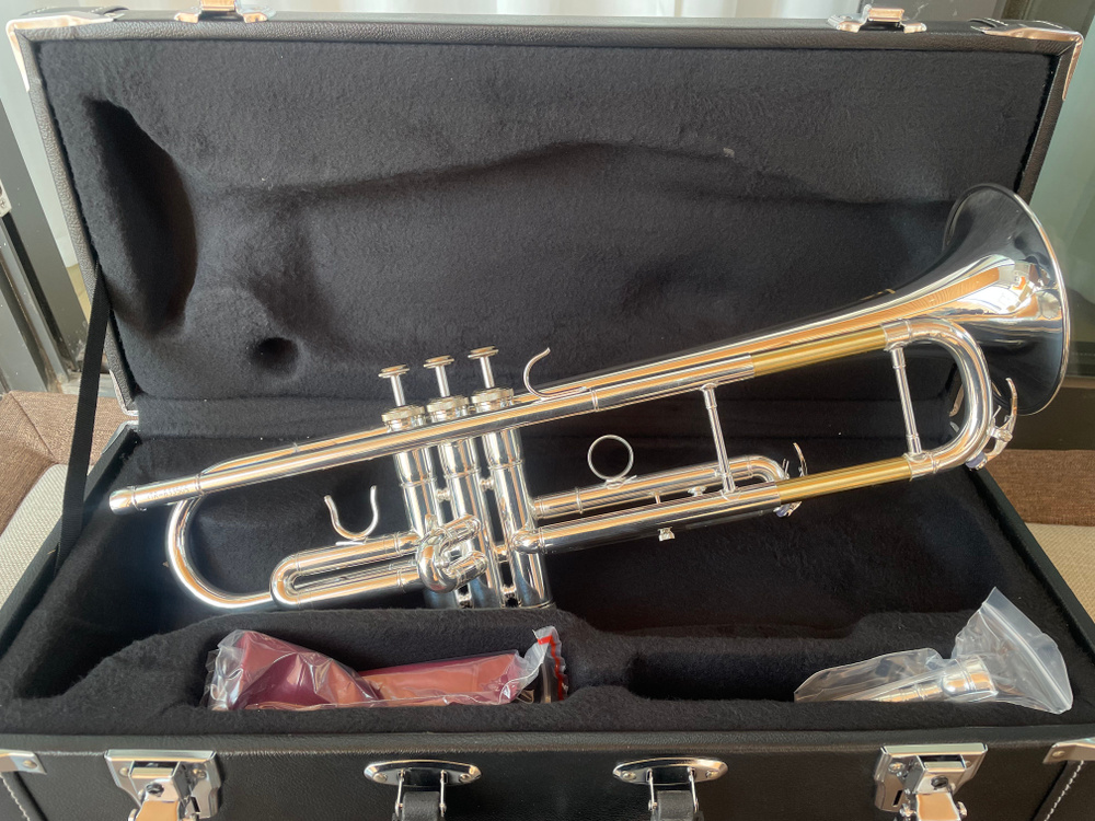 Trumpet Труба Trumpet YTR-8335GS серебро Лак B плоская Сиб Труба купить на OZON по низкой цене ...