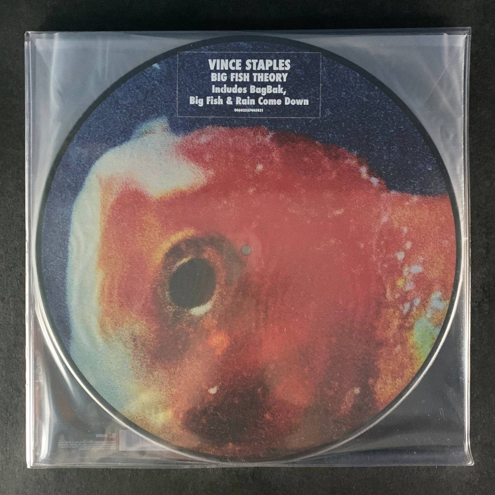 Vince Staples - Big Fish Theory (Limited Edition, Picture Disc) (б/у ...