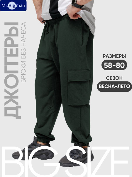 Брюки Мужской MR. BIGMAN джоггеры хаки, темно-зеленый Хлопок, Полиэстер Повседневный, размер 74 ...