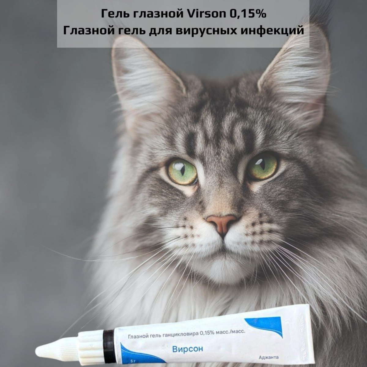 Гель глазной Virson 0,15% 5г ( Вирган гель для глаз ) купить на OZON по ...