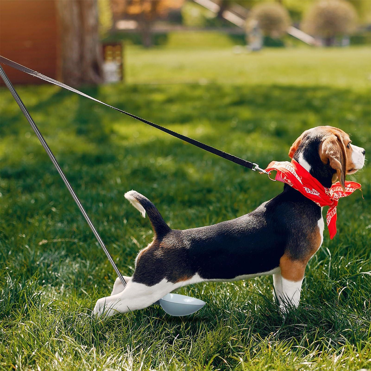 Dog Pee Catcher моча телескопическая ручка ,Снаряд для аджилити купить ...